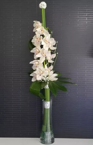 BUKET OD CYMBIDIUM ORHIDEJE