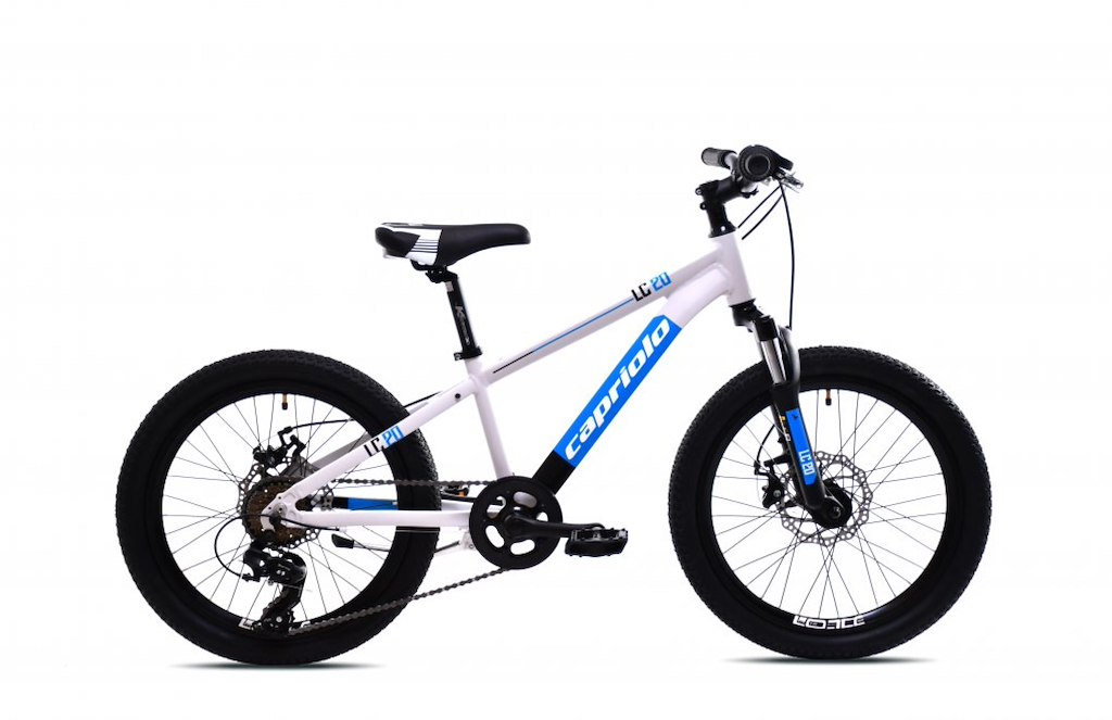Bicikl CAPRIOLO LC 200 20'/6AL sivo/20' sivi, SIVA, 20'