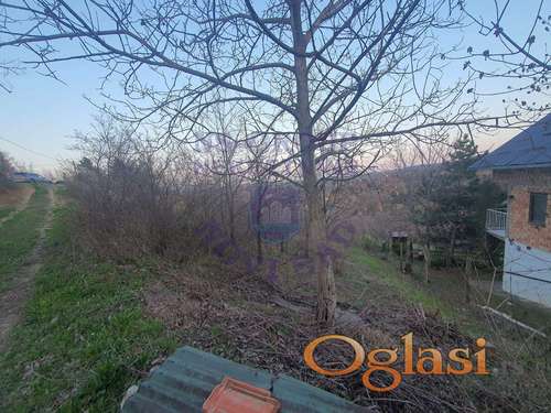 Odlican plac-Bocke,Sremska Kamenica
