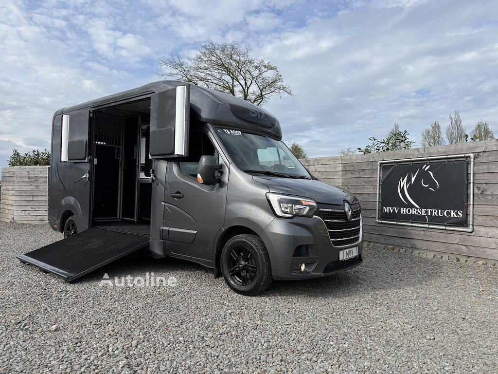 Renault Master | HORSETRUCK | STX | STALLION 3XL vozilo za prevoz konja