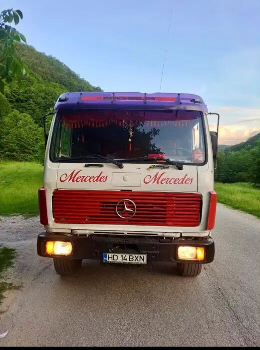 Mercedes-Benz magarus kamion za prevoz drva