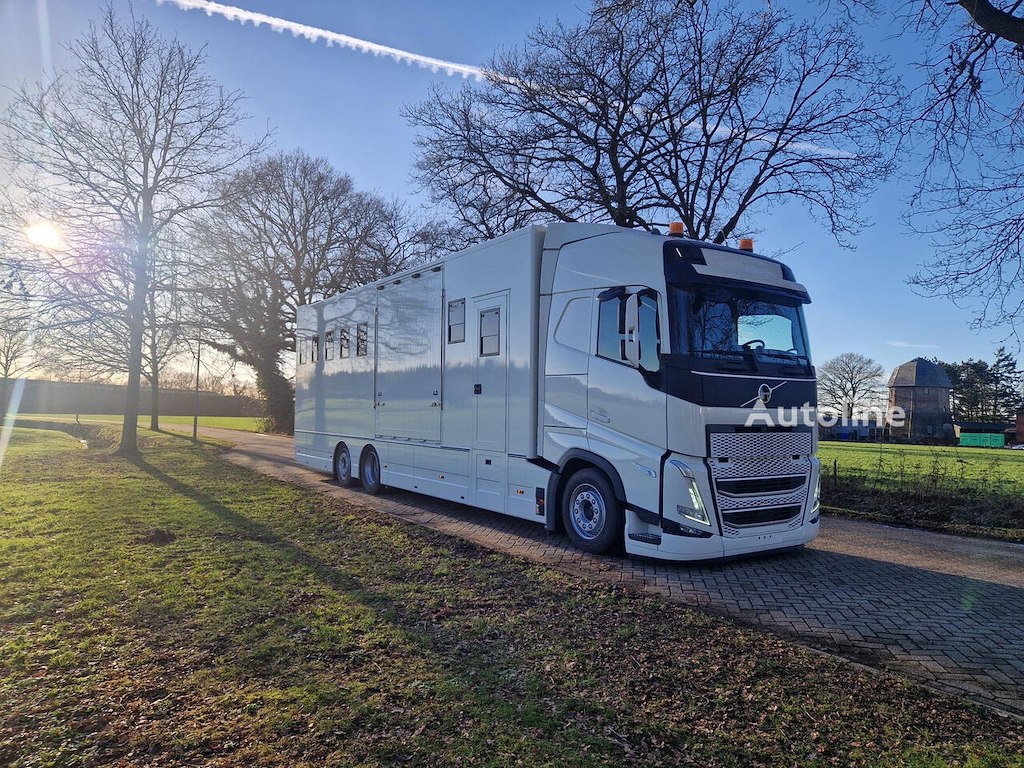 Novi Volvo FH Middle East Specs kamion za prevoz konja