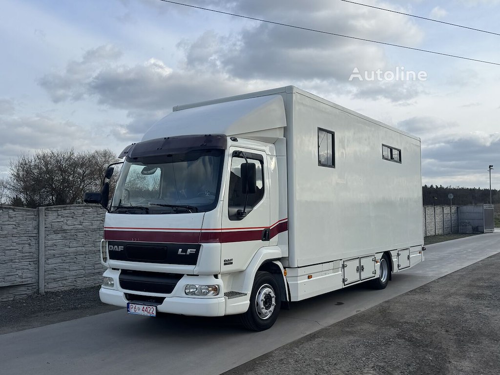 DAF LF 45 170 kamion za prevoz konja