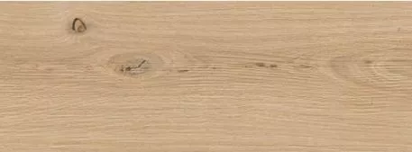 SANDWOOD BEIGE 18,5×59,8