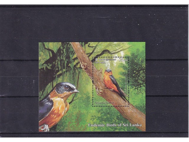 Sri Lanka Fauna