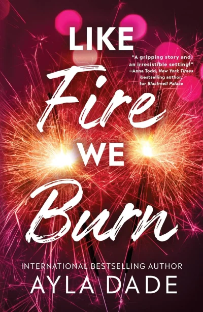 Like Fire We Burn: A Delightful New Adult Enemies to Lovers Sports Romance, Vol.2