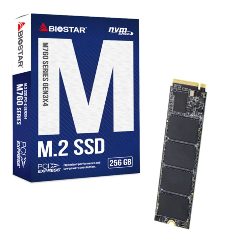 BIOSTAR M760 M.2 NVME 256GB SSD