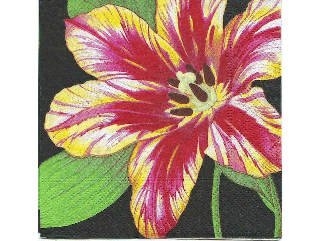 Mala Salveta MS7_202 Cveće