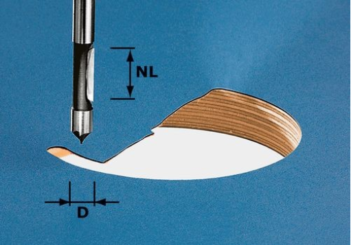 Festool Glodalo HW S8 D8/19, F 491037