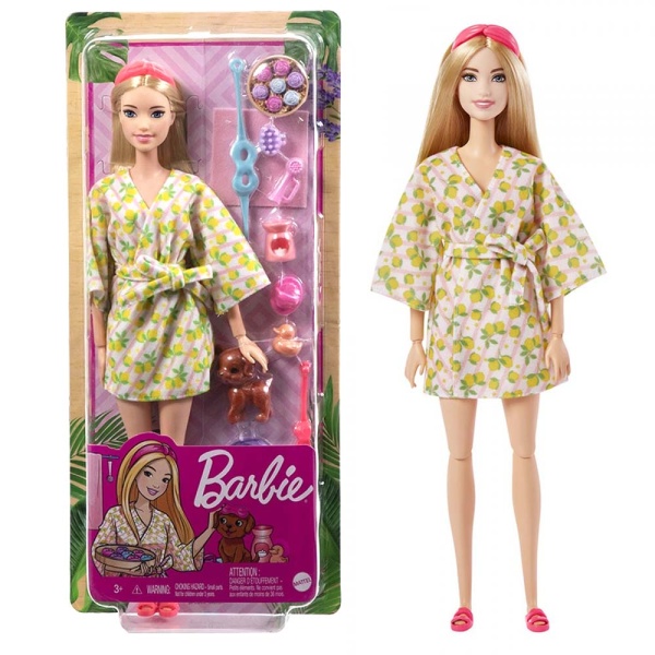 Barbie wellness i spa set sa kucom Mattel 1042037