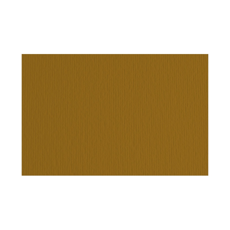 Papir U Boji B2 220g Elle Erre Fabriano 42450706 Braon (Marrone)