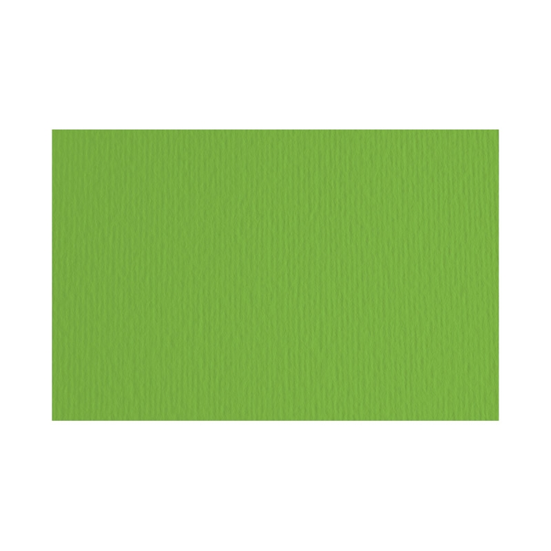 Papir U Boji B1 220g Elle Erre Fabriano 46470111 Tamno Zeleni (Verde)