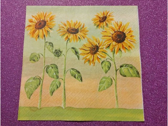 Salveta 33 x 33