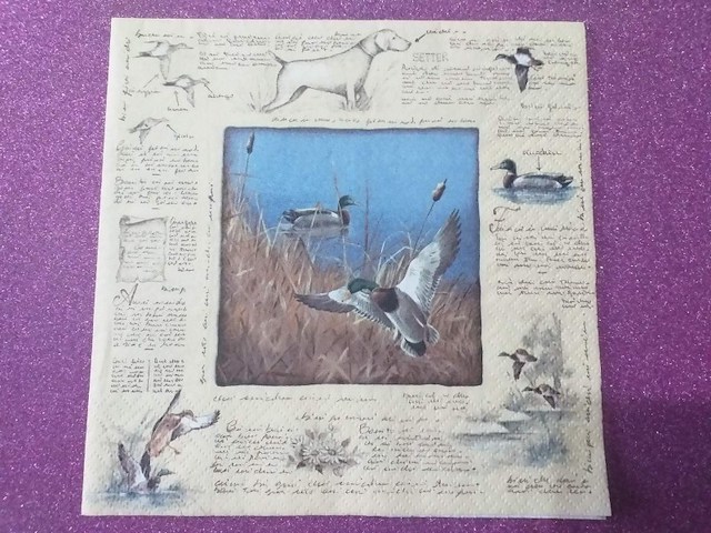 Salveta 33 x 33
