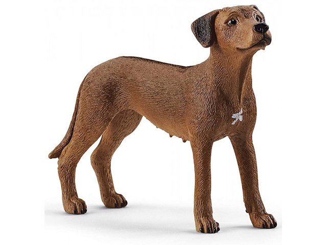 Schleich Figure Domaće životinje - Pas Rodezijski ridžbek 13895