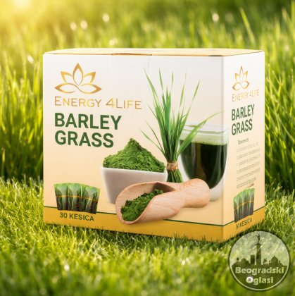 Barley Grass – Kesice