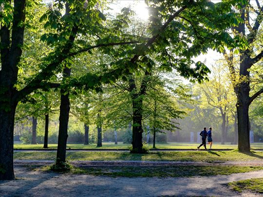 Senjak, Temišvarska | Garaža | Terase | Dvorište