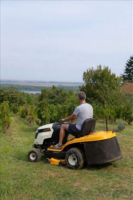 Kosenje trave i uredjenje dvorista - Stara Pazova