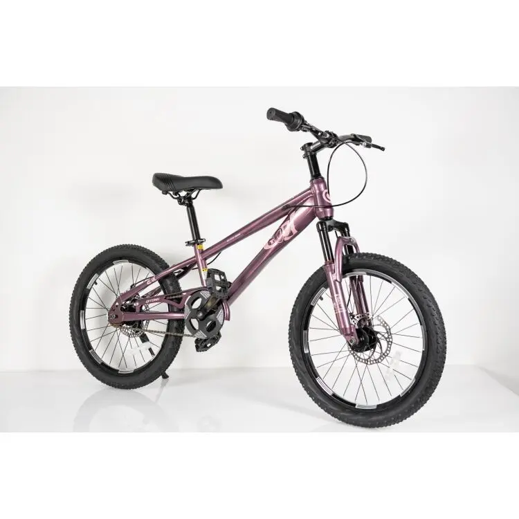 WinnerBike Dečiji bicikl TN24Q22, 20", Ljubičasti