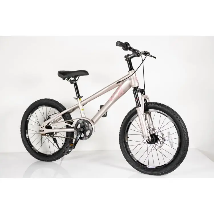 WinnerBike Dečiji bicikl TN24Q22, 20", Šampanjac