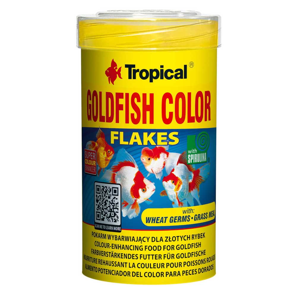 Tropical goldfish color