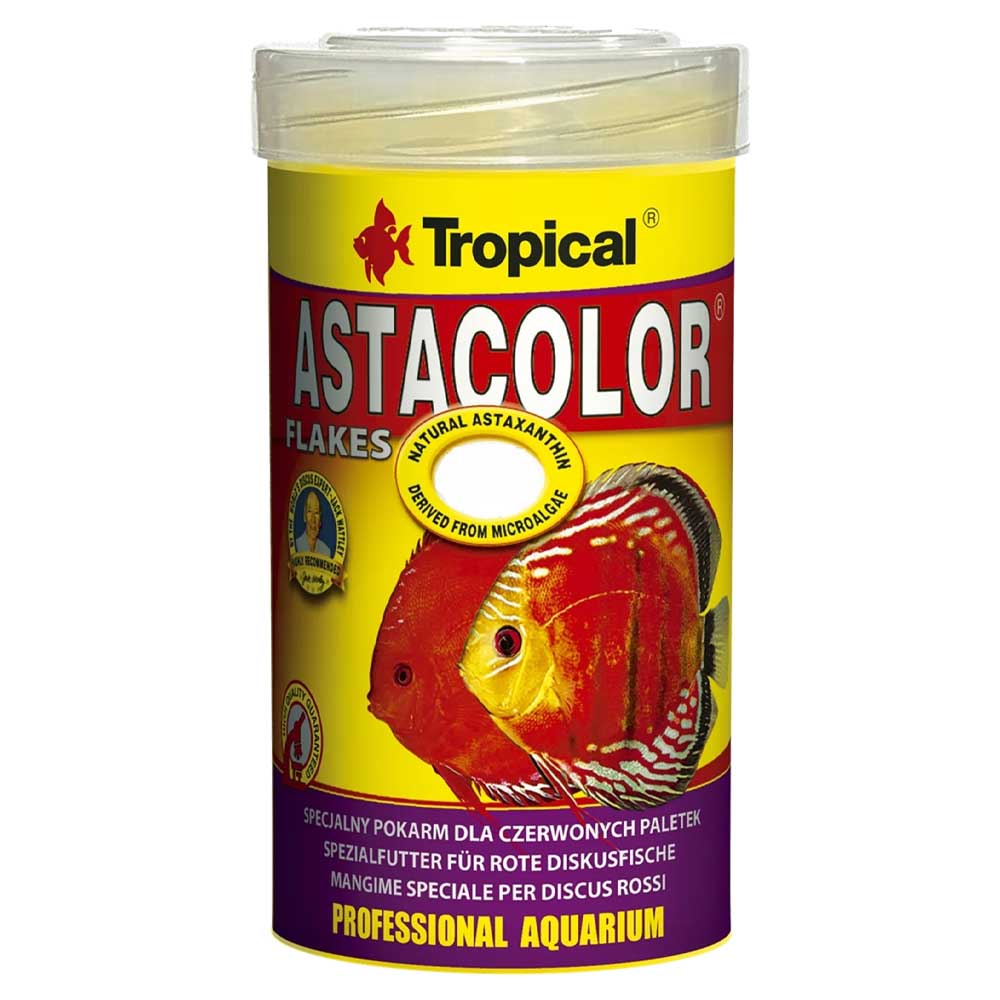 Tropical asta color 500 ml