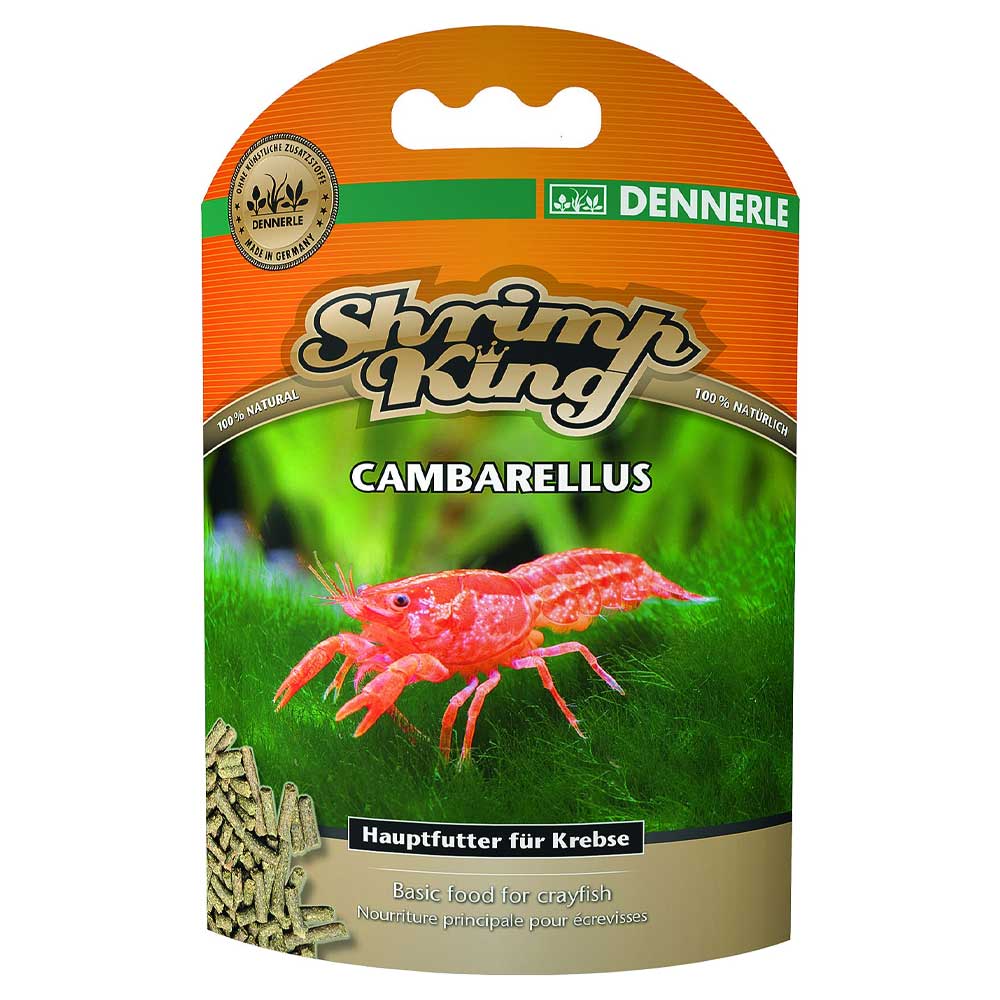 Dennerle shrimp king cambarellus