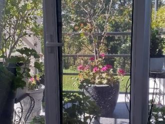 550m² 1.800.000€
Beograd, Savski Venac, Dedinje, Miće Orlovića