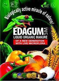 EDAGUM-SM 100ML