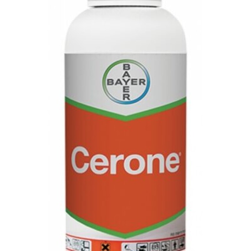 CERONE 1/1