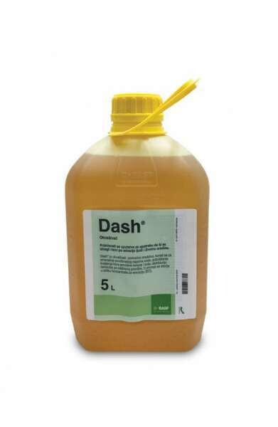 DASH 5/1