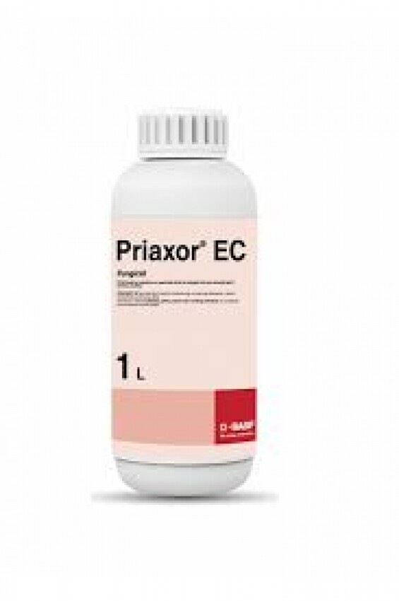 PRIAXOR 1/1