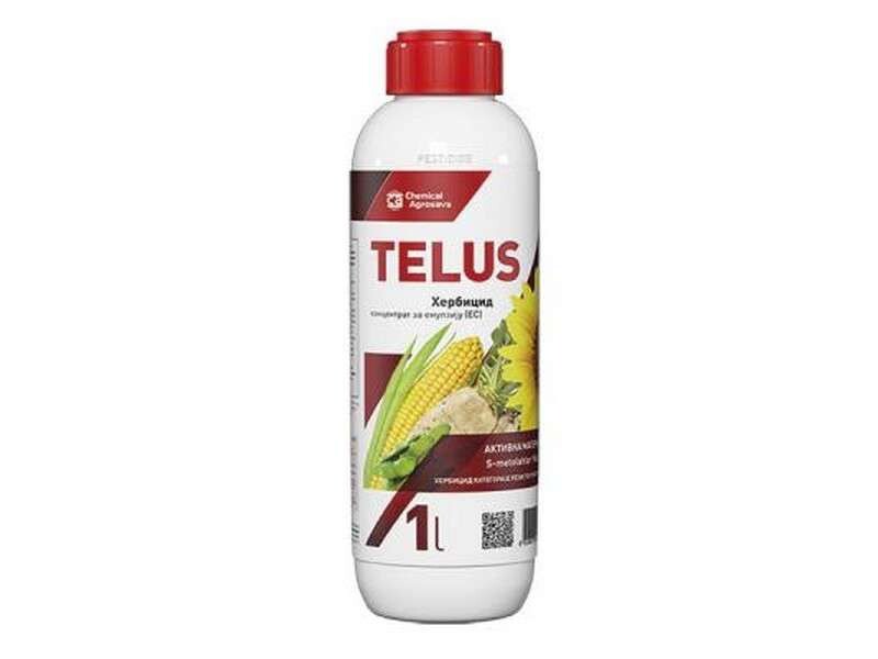 TELUS 1/1