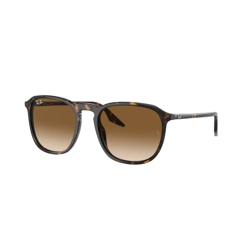 Ray Ban Naočare za sunce 0RB2203 902/51 55, Braon
