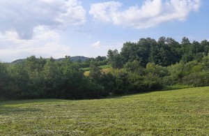 Prodaja placa-selo Tijanje+vodenica
