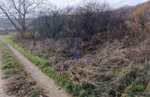 Prodajem Zemljište, Sremski Karlovci, Novi Sad Okolica