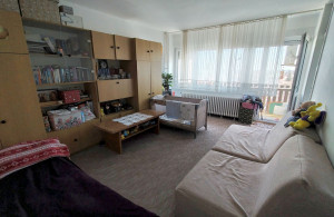 Prodajem Stan-Apartman, Bagljaš