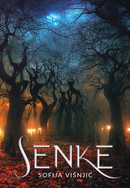 Senke