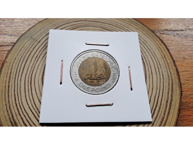 EGIPAT 1 POUND 2008 GODINA BIMETAL