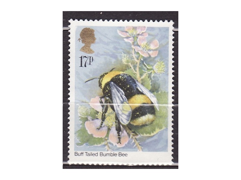 V. Britanija - pčela