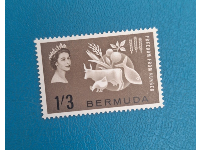 Bermuda 1963