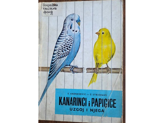 Kanarinci i Papagice Andrasevic Strickavi