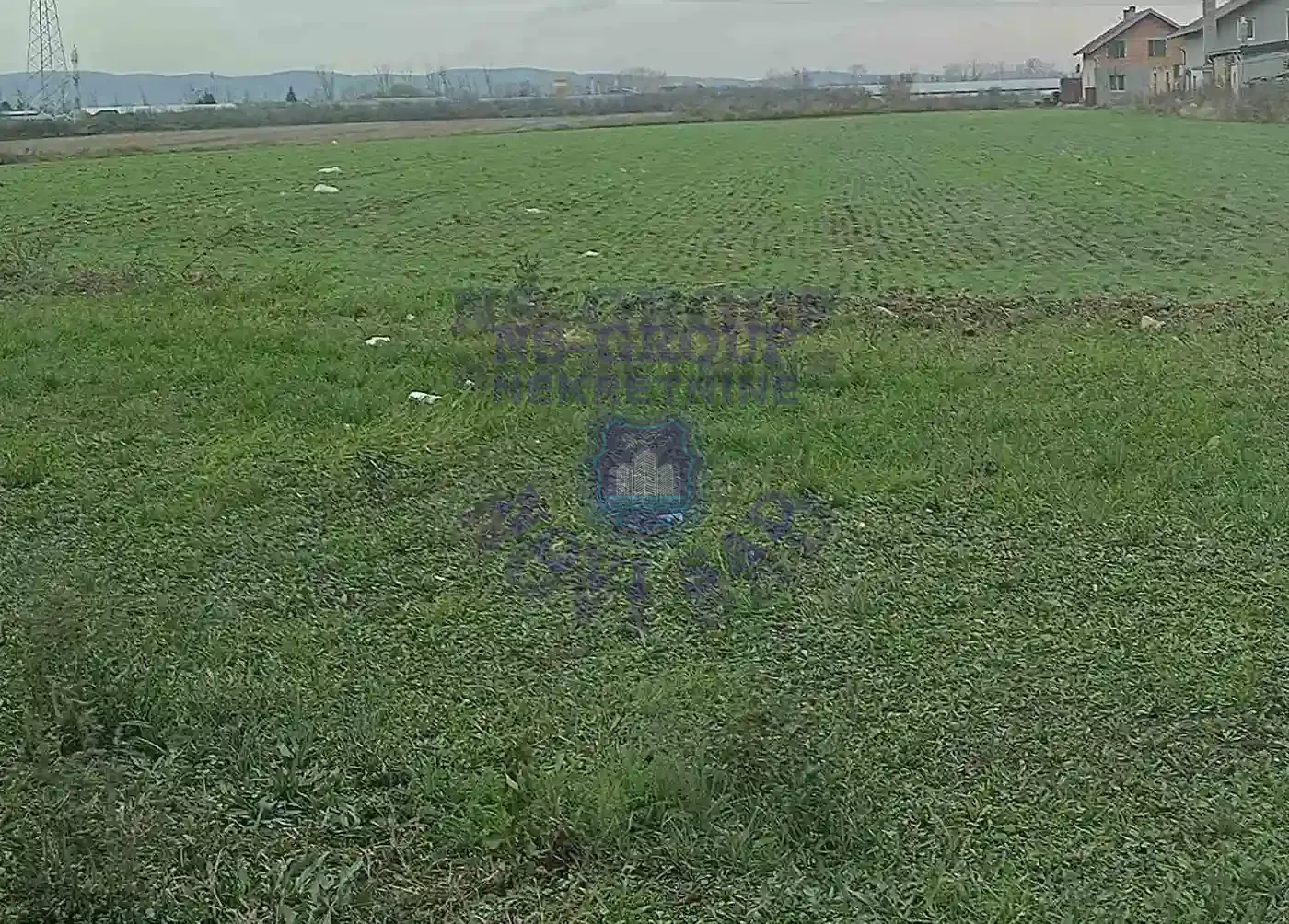Pored autoputa, Kovilj