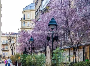 Prodaja Stan - Beograd, Savski Venac Centar