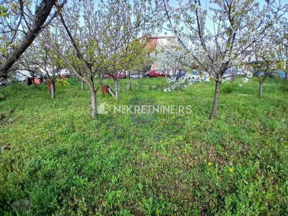 Plac površine 743 m², pravilnog oblika, idealan za gradnju porodične kuće! 743m