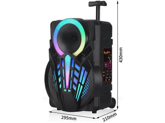 Bluetooth zvučnik karaoke set sa mikrofonom NDR-P08