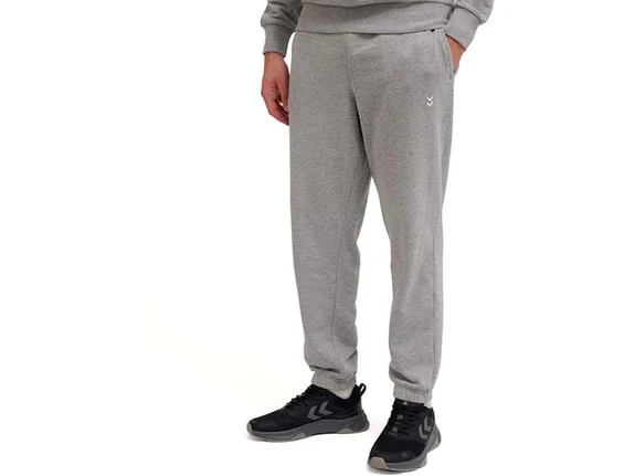 Hummel Muški donji deo trenerke Hmlpulse Co Regular Sweat Pants 229312-2006