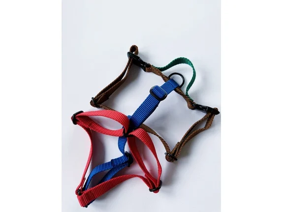 Woofinery craft Majstor i Margarita amovi