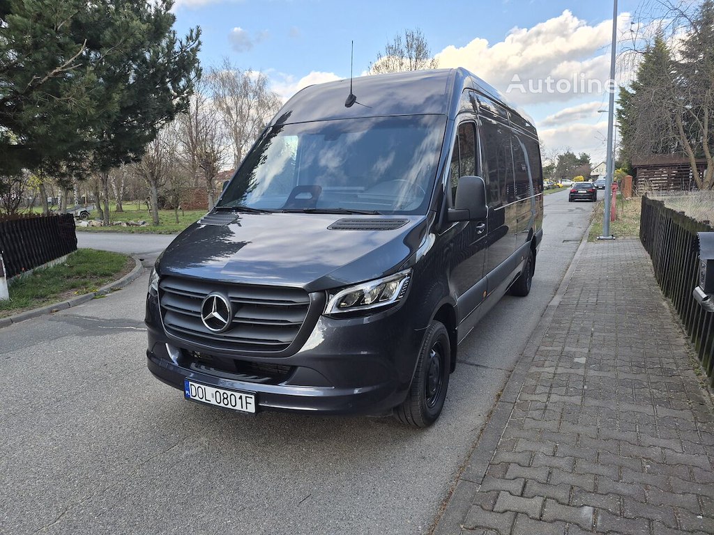 Mercedes-Benz Sprinter 317 minibus furgon