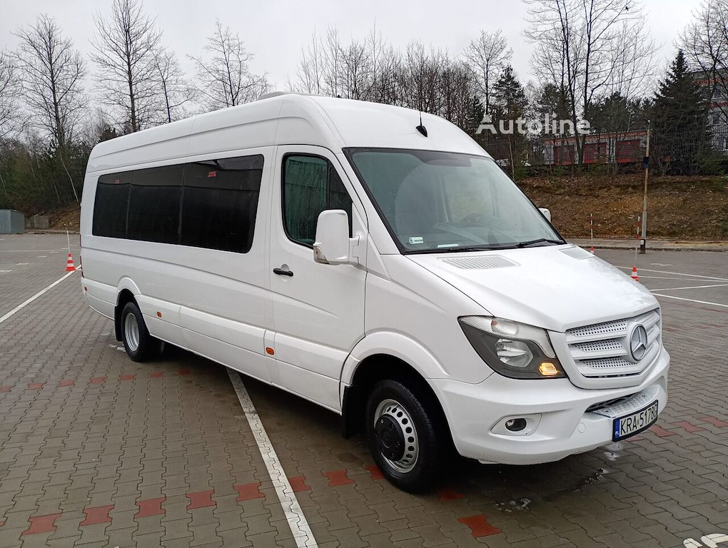 Mercedes-Benz Sprinter 516 putnički minibus